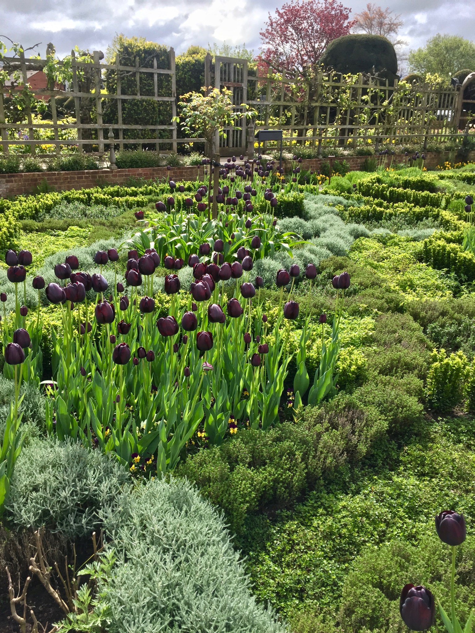 THE SWEET INTENSITY OF SHAKESPEARE’S GARDENS | The Dahlia Papers